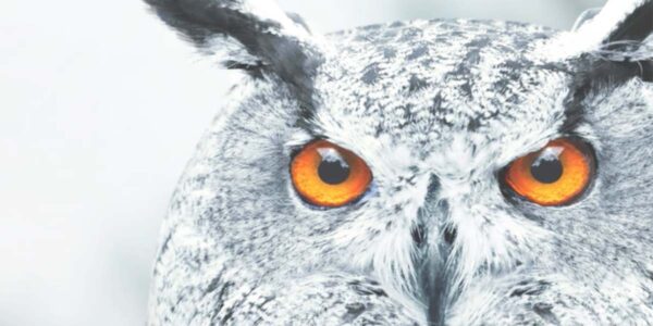 All Posts - Projectorpoint